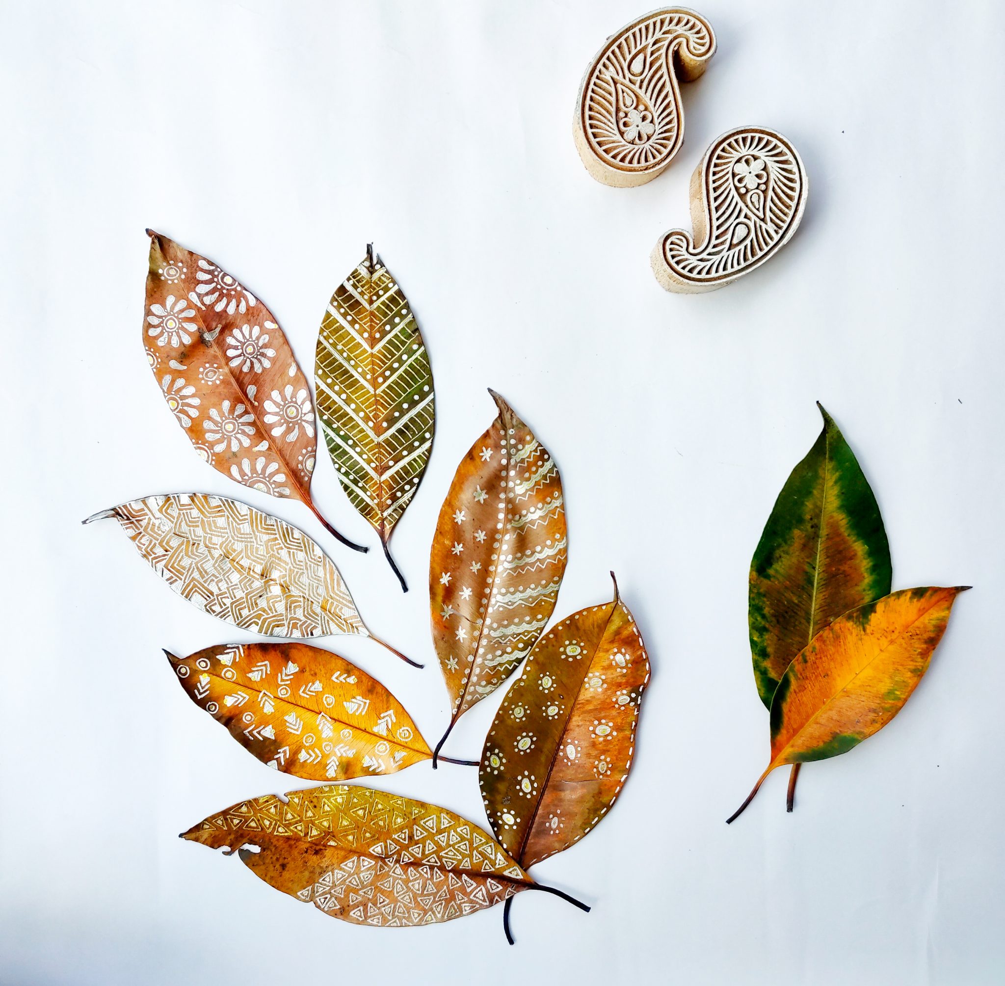 How To Draw on Real Leaves - FAQs & Tips