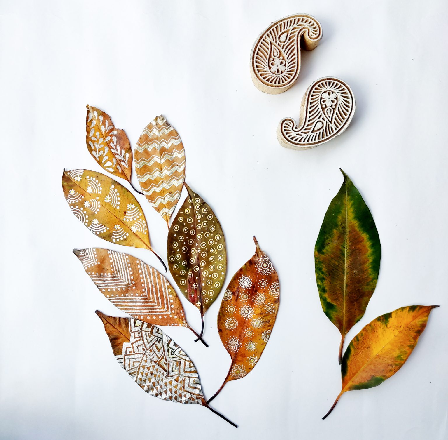 How To Draw on Real Leaves - FAQs & Tips